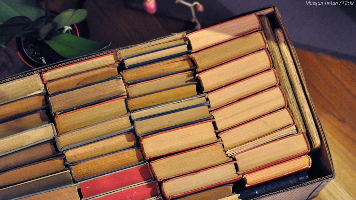 How to Pack Books for Moving: 40 Steps for Packing Books