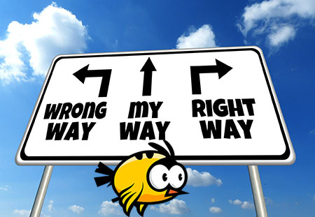 Pros And Cons Of Moving Out Of Parents House