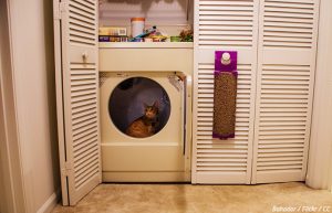 How to Move a Washing Machine by Yourself: Step-By-Step Guide - MoveAdvisor