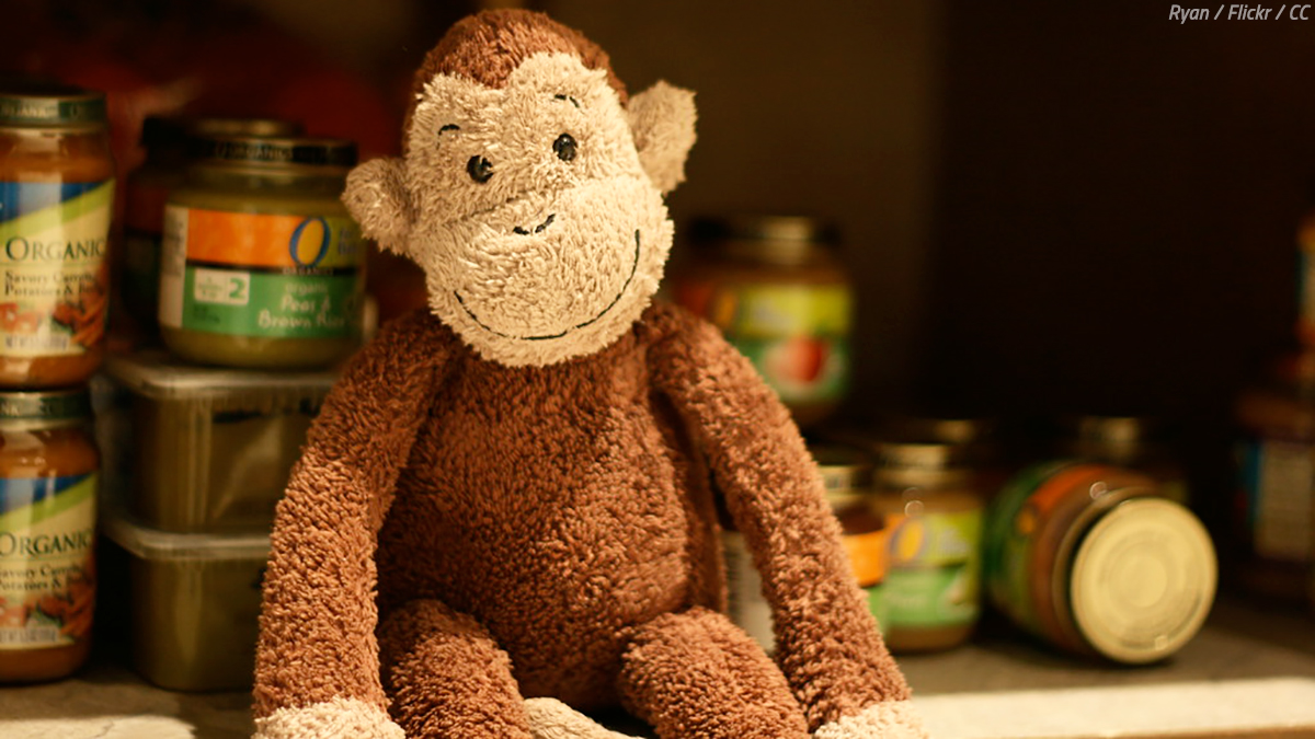 What to Do With Food When Moving: Tips to Reduce Food Waste - MoveAdvisor