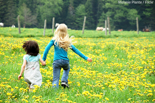 Pros and Cons of Moving to the Country