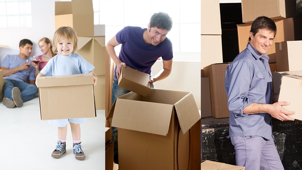 10 Signs You Must Have Been a Professional Mover in a Previous Life ...