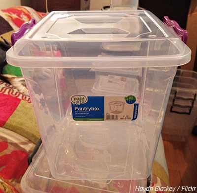 How to Use Plastic Moving Boxes When Moving - MoveAdvisor
