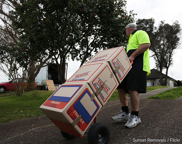 Moving Dolly - A Man’s Best Friend During a House Move