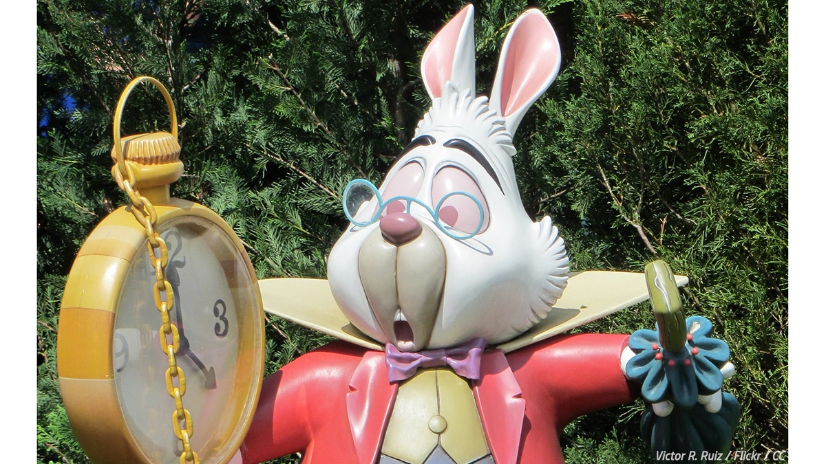 Emergency Moving: 10 Steps to Survive a Last-Minute Move