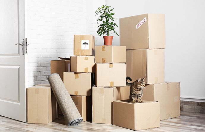 Moving Box Sizes - What to Pack in What Size Boxes When Moving